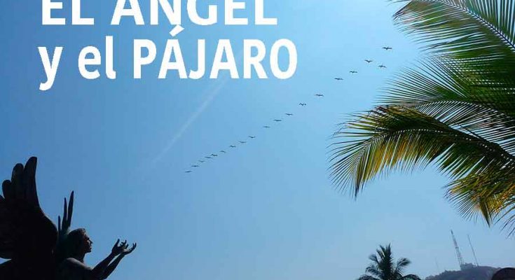 ᐅ El pájaro y el ángel - Cuentos con valores para niños y jóvenes