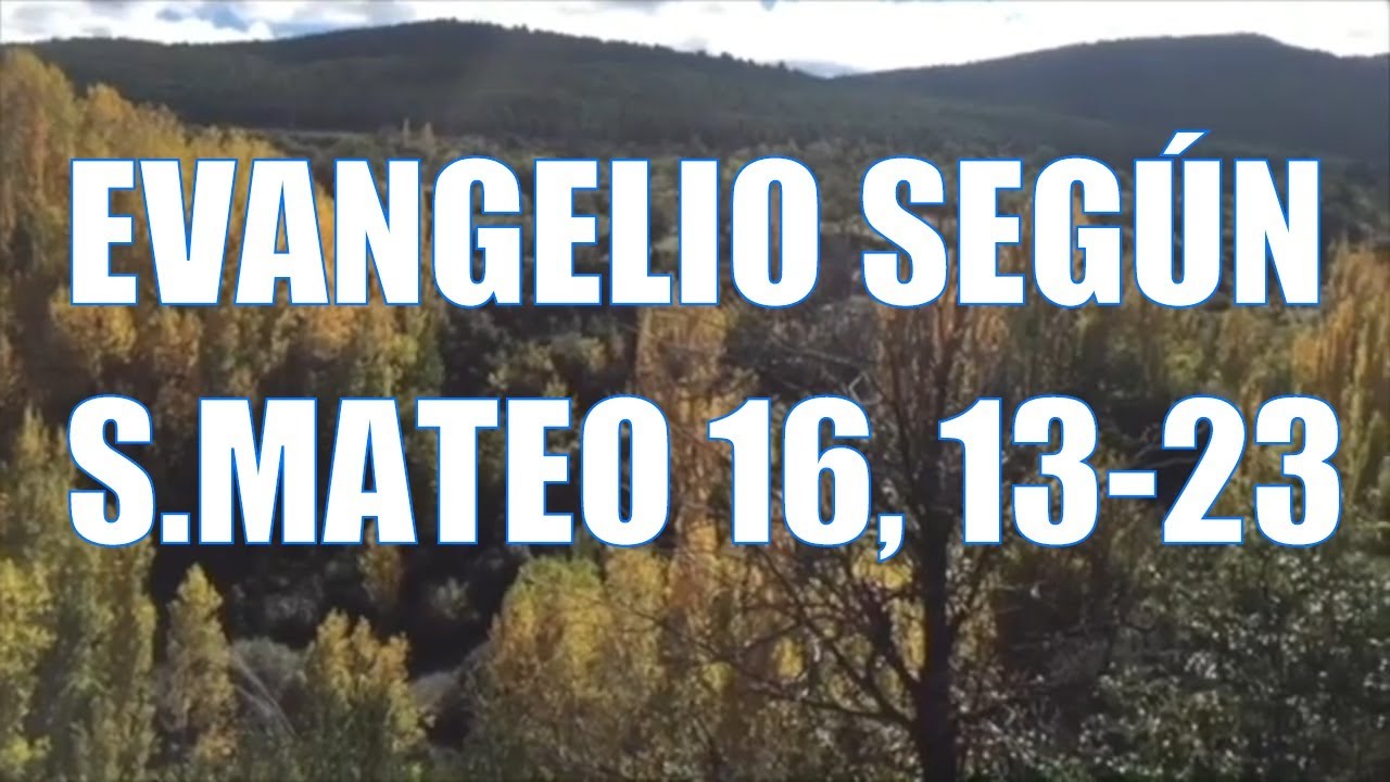 ᐅ Evangelio según San Mateo en vídeo y reflexiones - padrenuestro.net