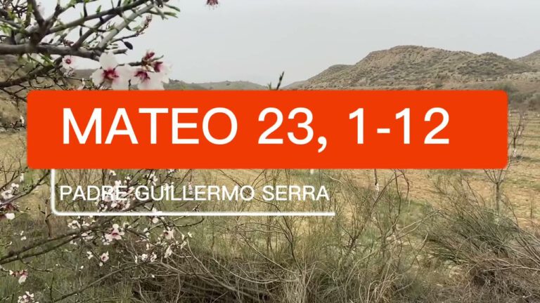 ᐅ Evangelio según San Mateo 23, 1-12 - padrenuestro.net