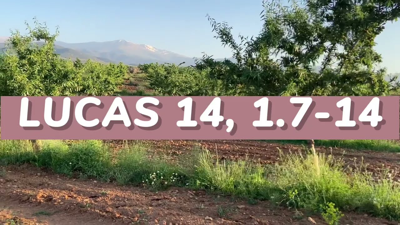 REFLEXIÓN del Evangelio según San Lucas 14, 1. 7-11